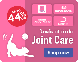 Virbac Hexarinse Oral Rinse for Dogs and Cats - 237ml. Free Delivery at ...