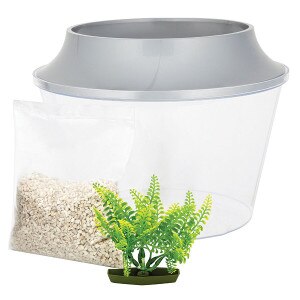 Armitage Gussie Gold Fish Starter Kit. Cheap Prices | PetShop.co.uk