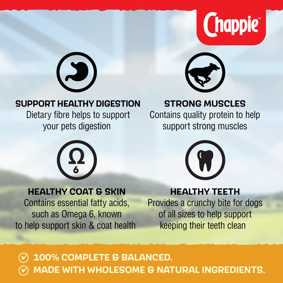 Chappie Chicken Dry Dog Food 15kg Next Day Delivery by 7pm