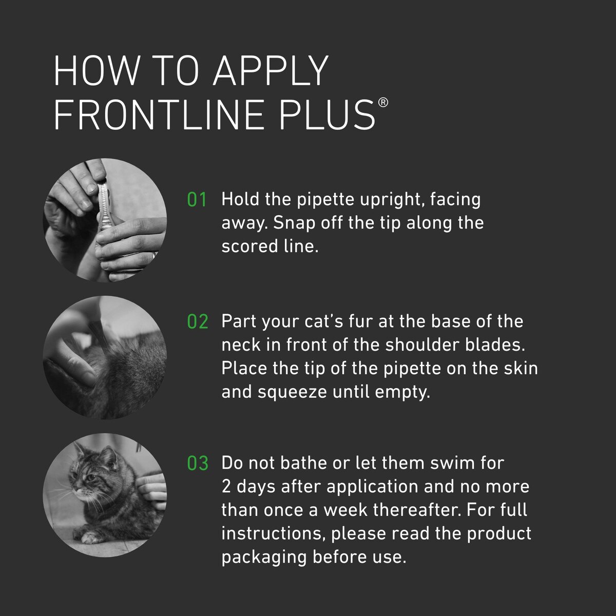 Frontline Plus Flea Cats 6 Pk Next Day Delivery by 7pm