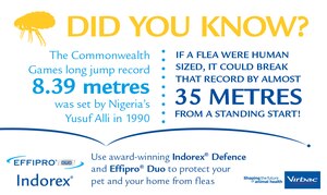 Indorex Defence Household Flea Spray |Save at Petshop.co.uk