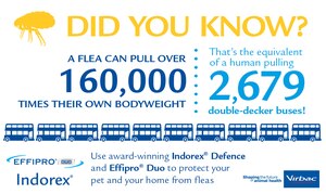 Indorex Defence Household Flea Spray |Save at Petshop.co.uk