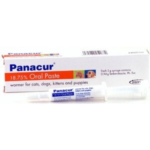 Panacur Wormer Paste for Cats & Dogs - 5g.Free Delivery at PetShop.co.uk