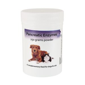 Pancreatic Enzyme Powder |Free Shipping at Petshop.co.uk