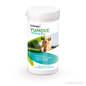 YuMOVE Working Dog Joint Supplement Tablets 480 Tablets. Free Delivery ...
